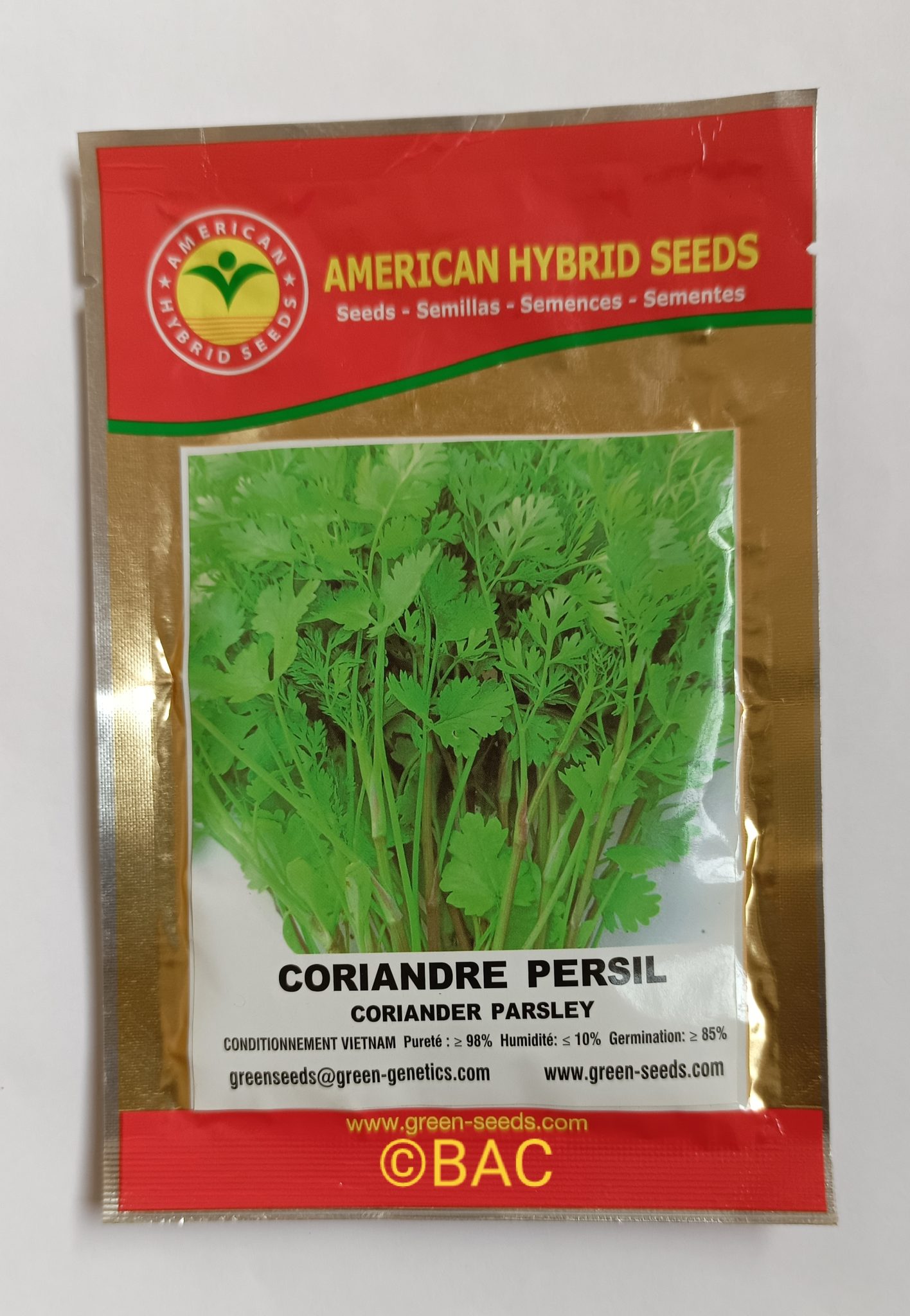 Coriandre Persil - AgShop