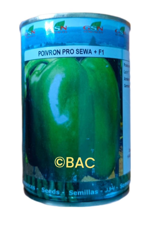 Poivron Pro Sewa + F1 - AgShop