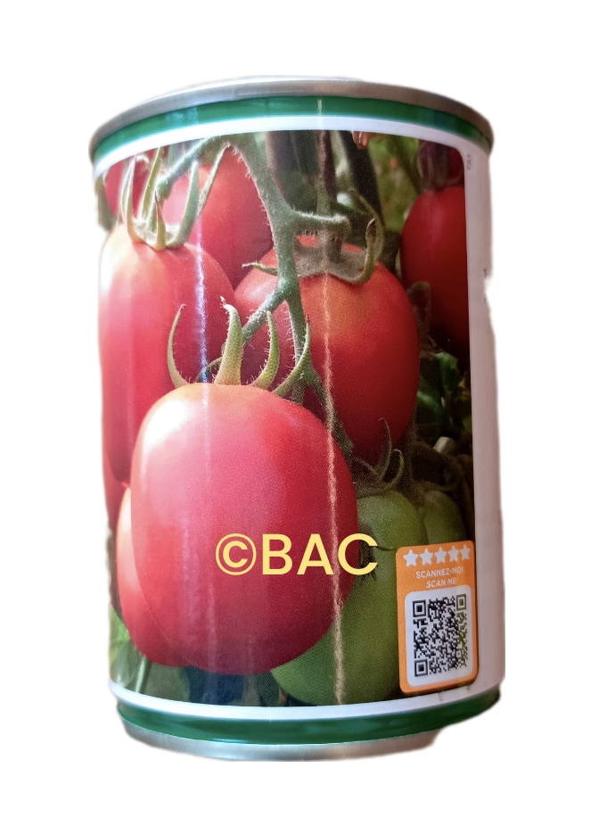 Tomate F1 Cobra 26 - AgShop