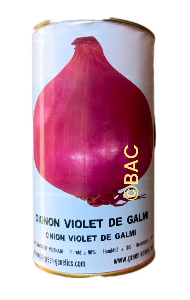 Oignon Violet de Galmi - AgShop
